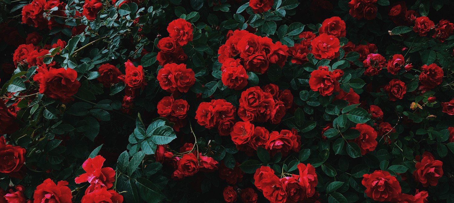 Lancaster DSA – Democratic Socialists organizing in Lancaster County ...